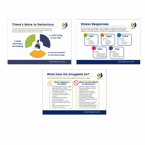 Team Teach Downloadable Resources - Team Teach